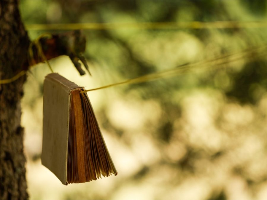 Sprogvask af akademiske tekster - Helle Hinge